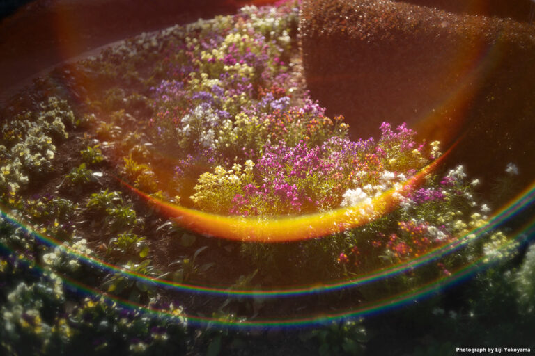 Apollon 36mm f1.3をLM-EA9でAF化、α7Cでちょっとレビュー – Eiji Photo Sense